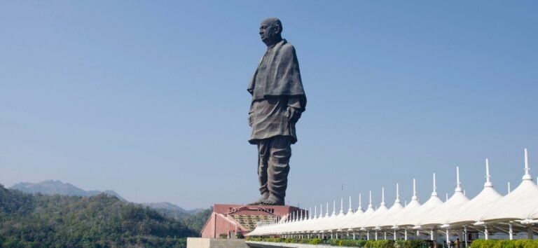 Thol Bird Sanctuary Gujarat: Timings, Entry Fee & Travel Guide ...